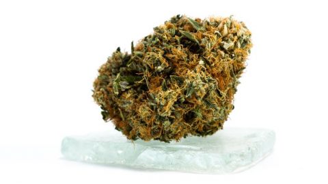 How to Decarboxylate Cannabis for Edibles and Extracts